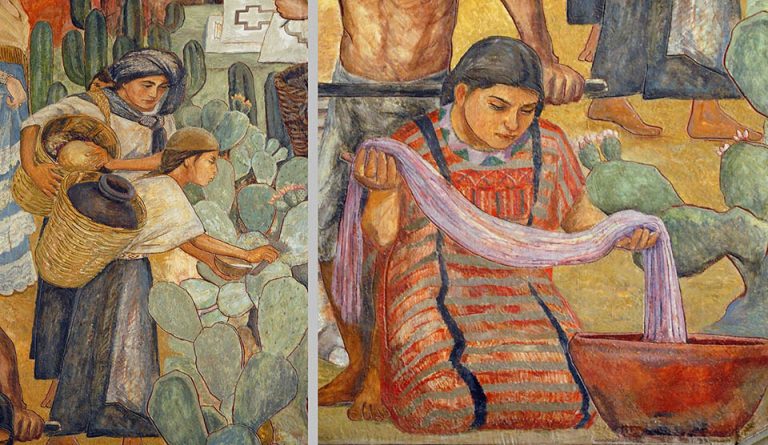 Dactylopius coccus - Monaco Nature Encyclopedia